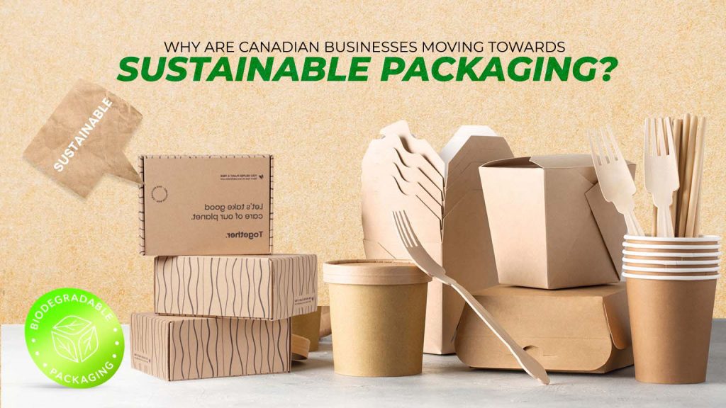 Why are Canadian Businesses Moving Towards Sustainable Packaging?